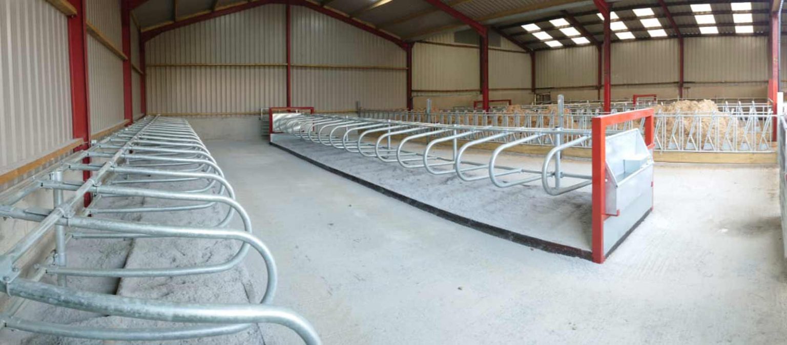 Calf Cubicle - Mayo Farm Systems